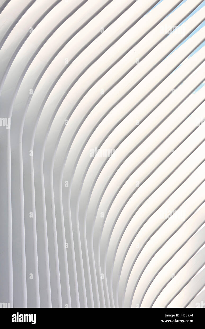 Sinuous detail of white steel rib facade. The Oculus, World Trade ...