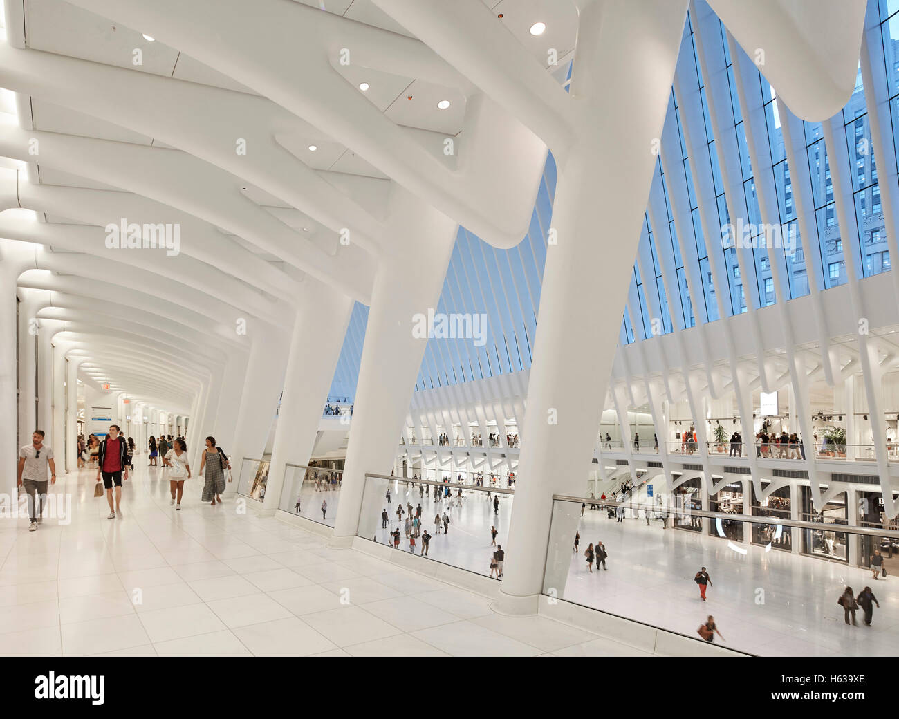 Cathedral-like transit hall interior viewed from corridor. The Oculus ...