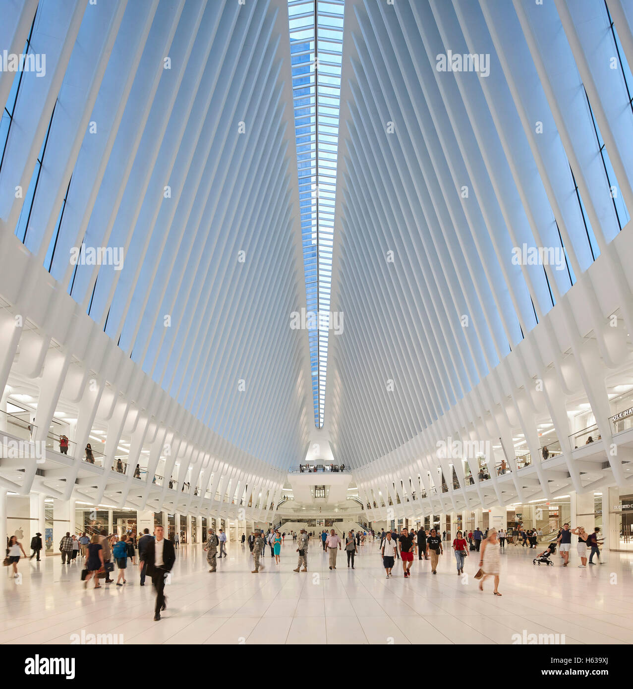 Cathedral-like transit hall interior from arrival level. The Oculus ...