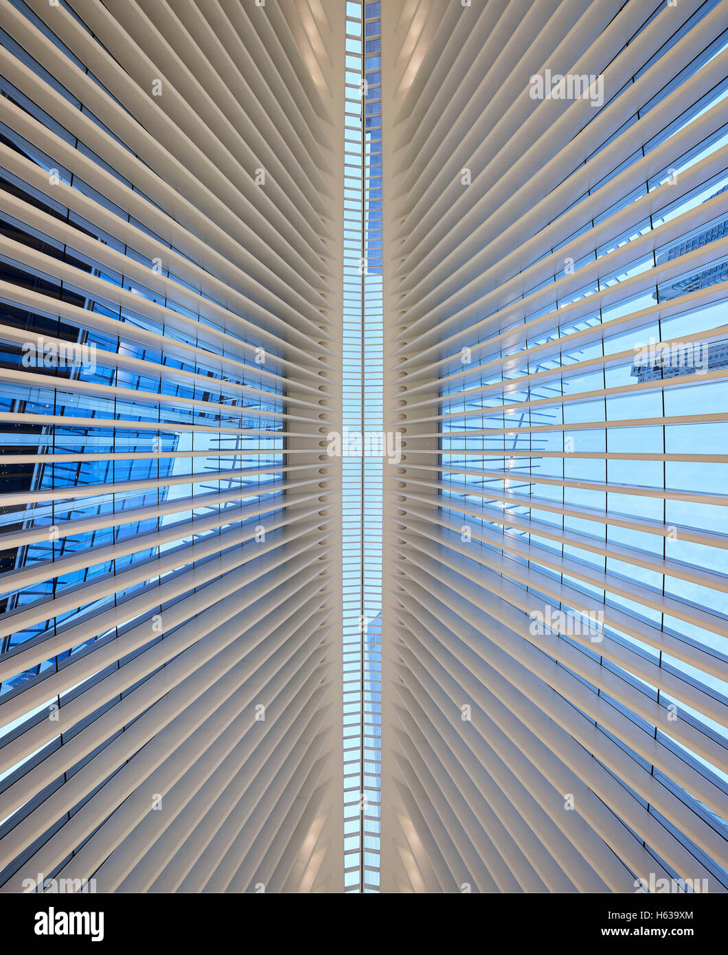 Abstract detail of white steel rib facade. The Oculus, World Trade ...