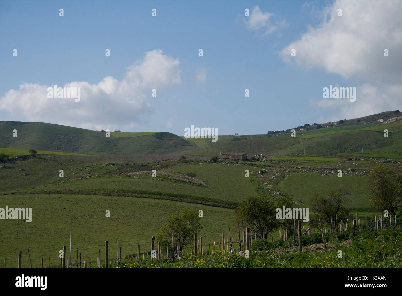Sicilian countryside with green fields Stock Photo - Alamy