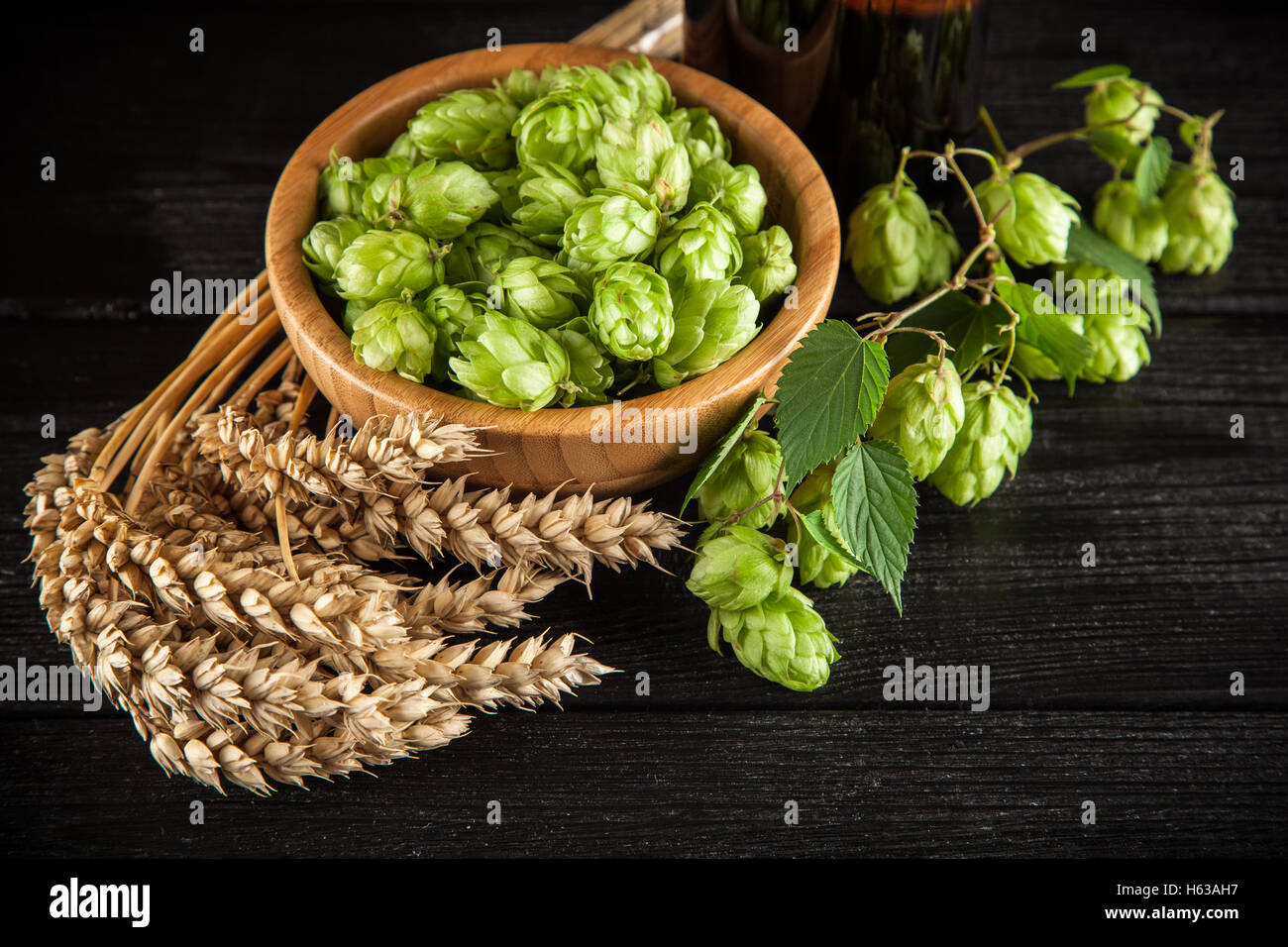 Malt and hops Stock Photo - Alamy