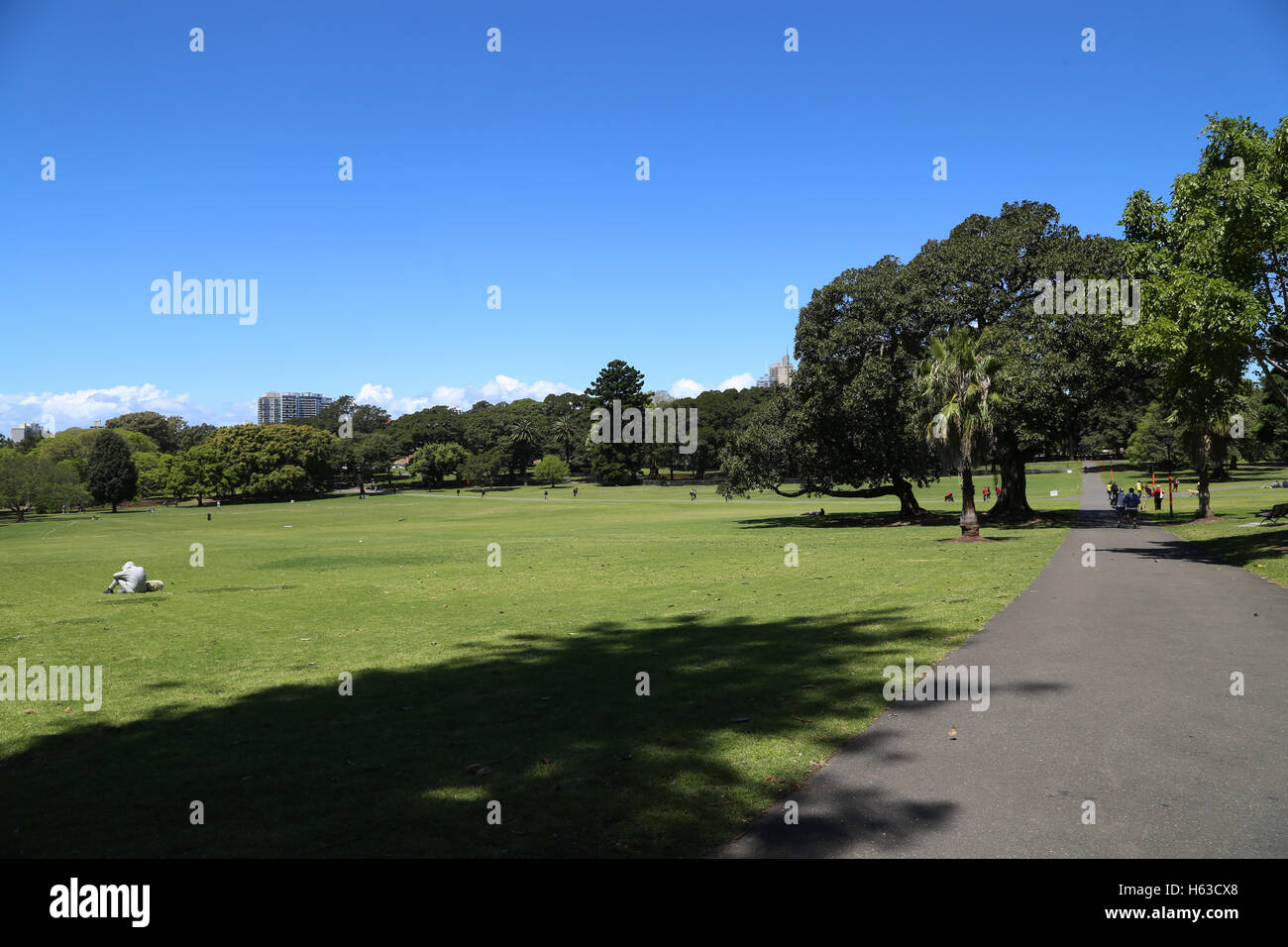 The Domain Park, Sydney, Australia Stock Photo - Alamy