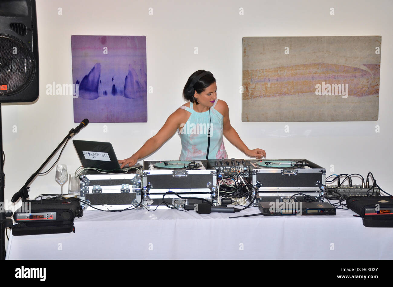 DJ Lady Sha DJing the BCBG Max Azria Resort 2016 collections Stock ...