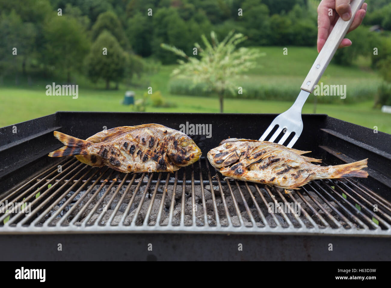 Fish Fried On The Grill Outdoor Stock Photo - Alamy