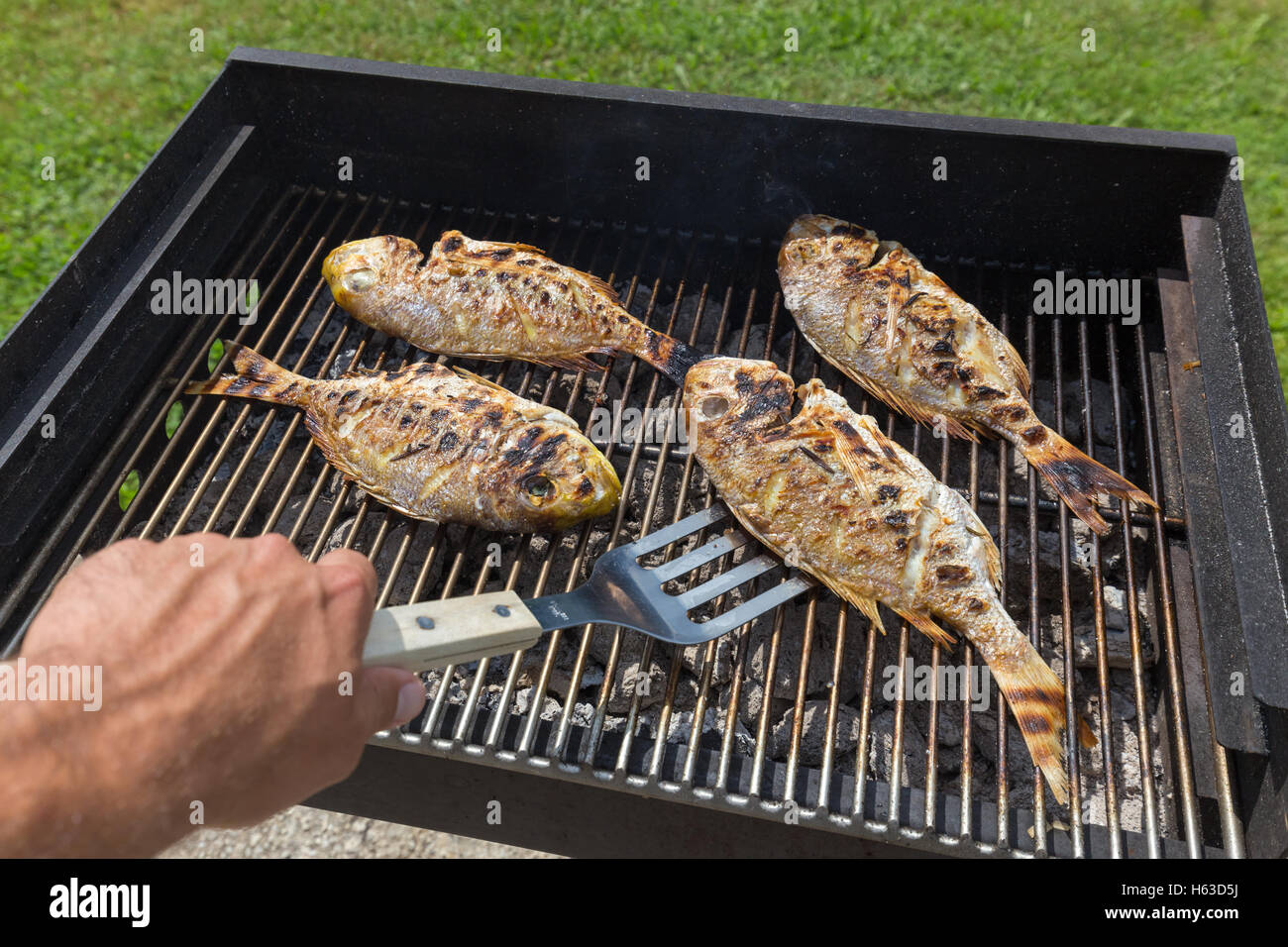 Fish Fried On The Grill Outdoor Stock Photo - Alamy