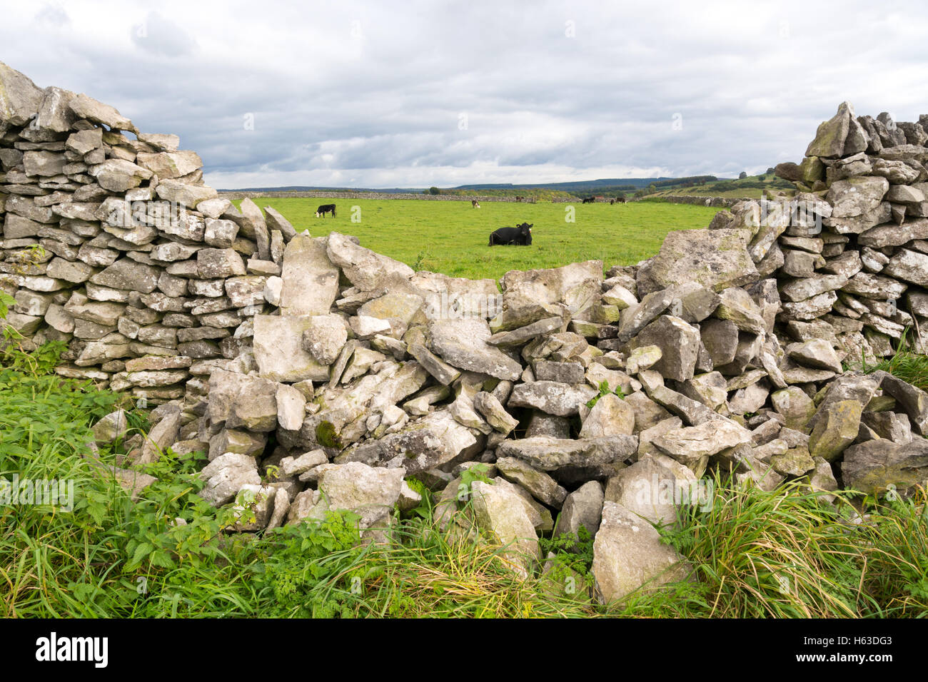 Wall of the fallen hi-res stock photography and images - Alamy