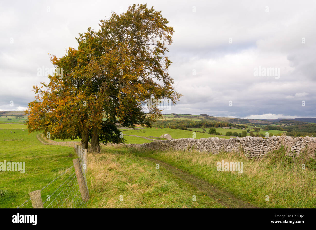 The Peak District national park covers an area at the southern end of ...