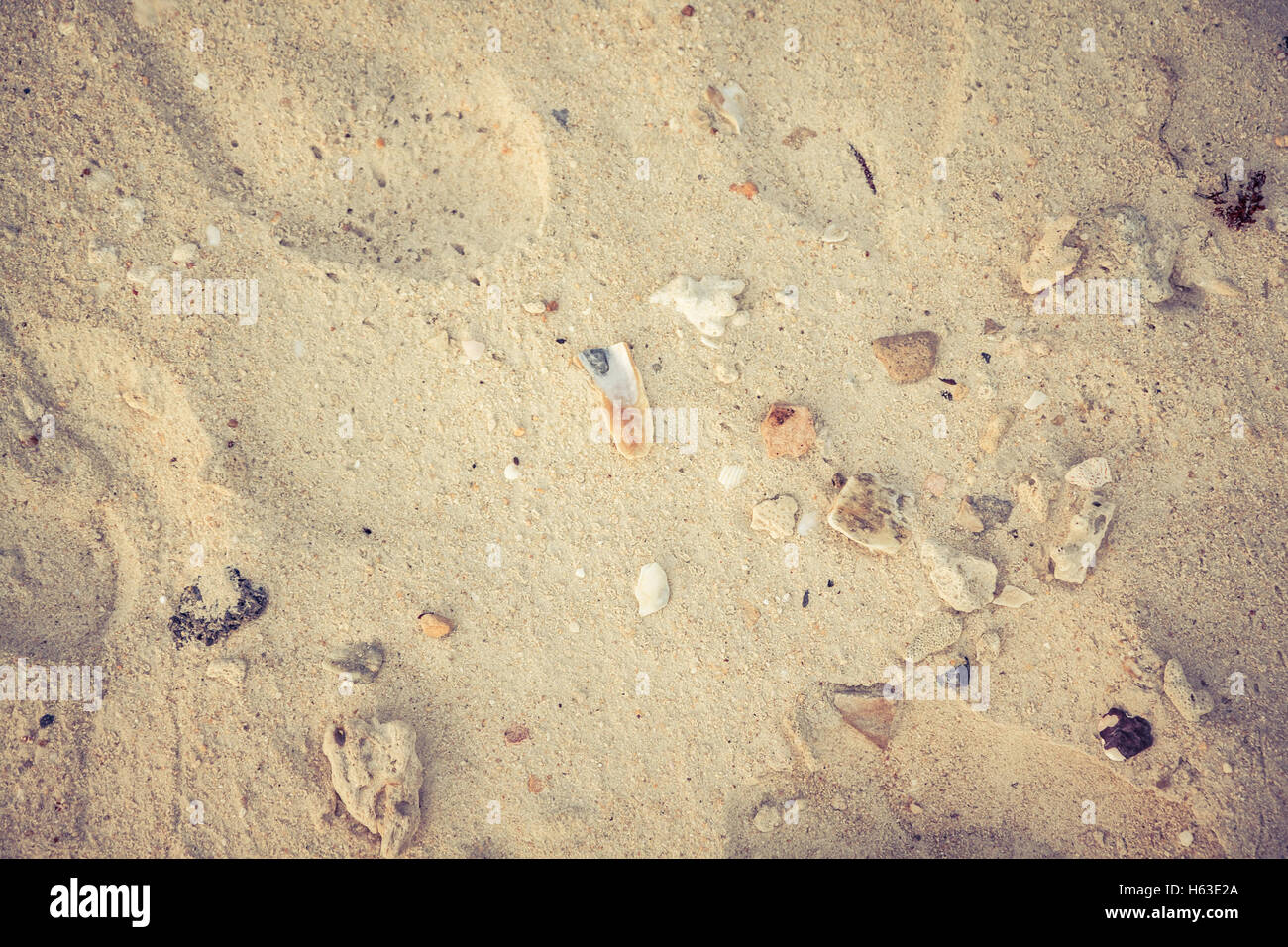 Sand beach sea shells and coral pebbles as background Stock Photo - Alamy
