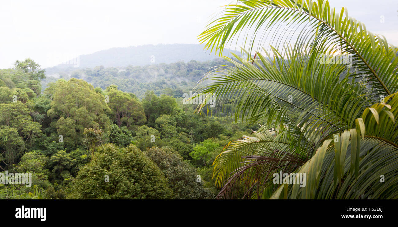 Well preserved wildlife hi-res stock photography and images - Alamy