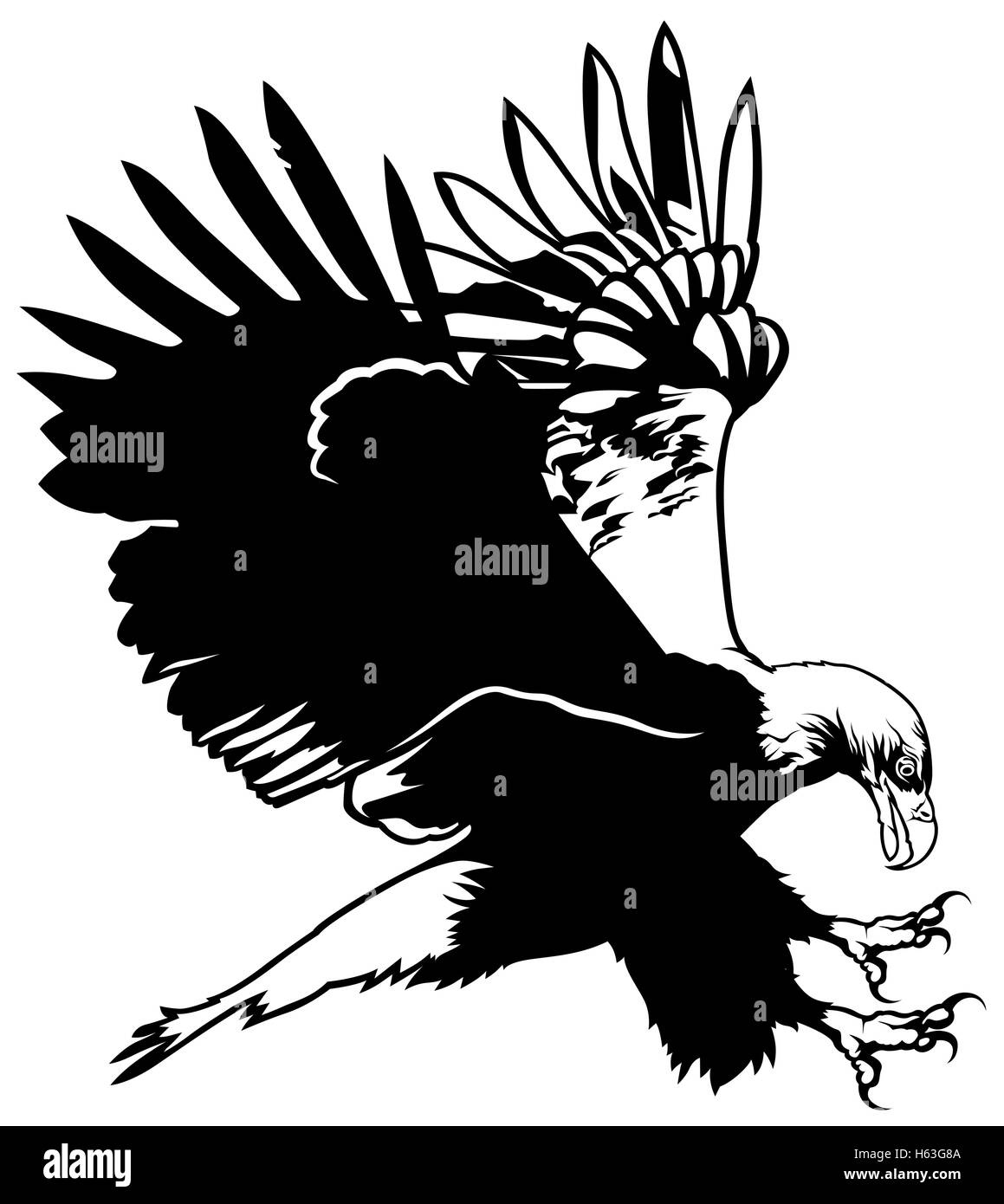 Bald eagle fledgling Stock Vector Images - Alamy