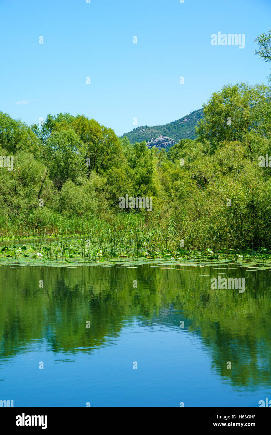 The Rijeka Crnojevica River, in the northern area of Skadar Lake National Park. Montenegro Stock ...