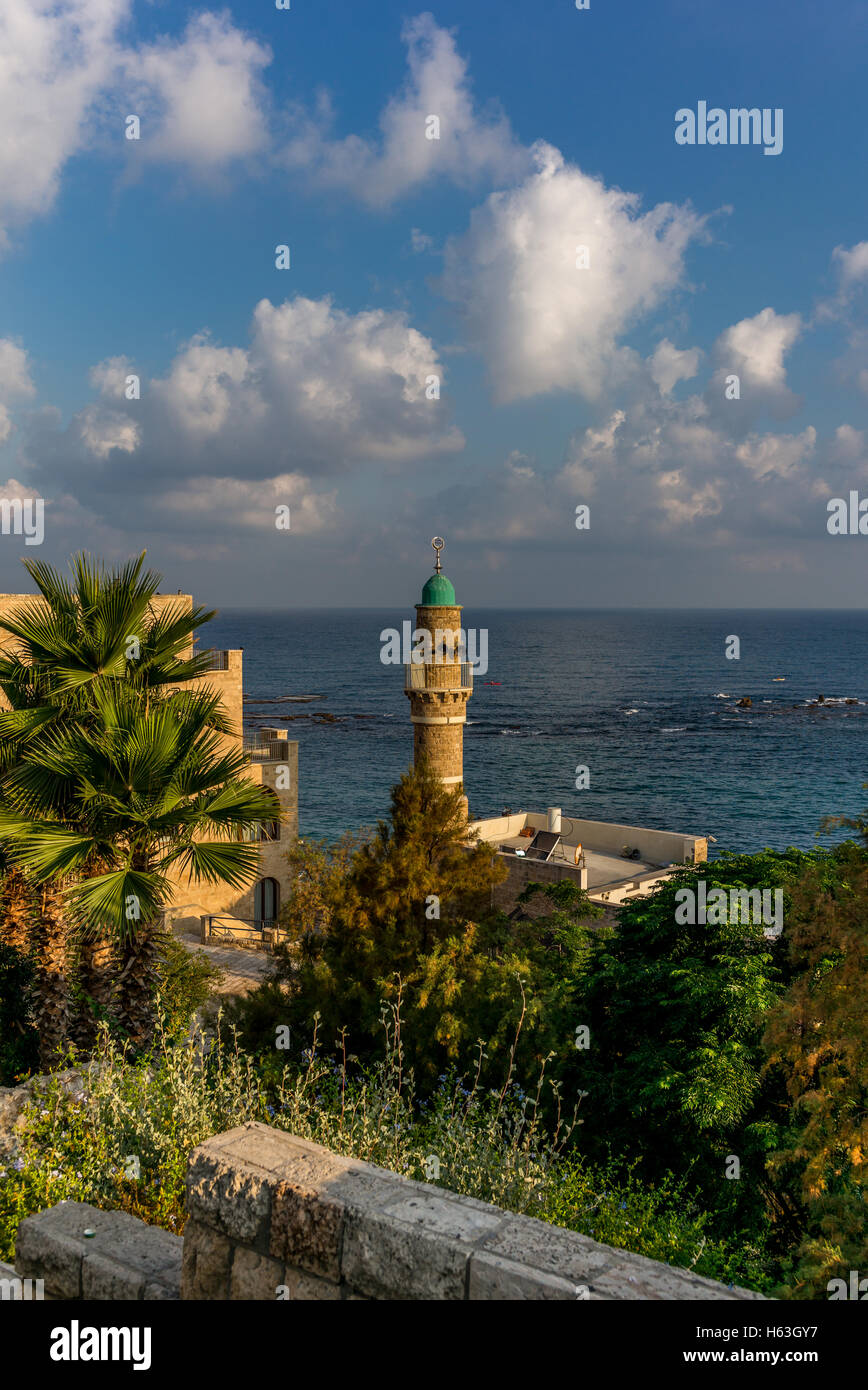 View of the Sea Mosque in the old town of Jaffa in Israel Stock Photo ...