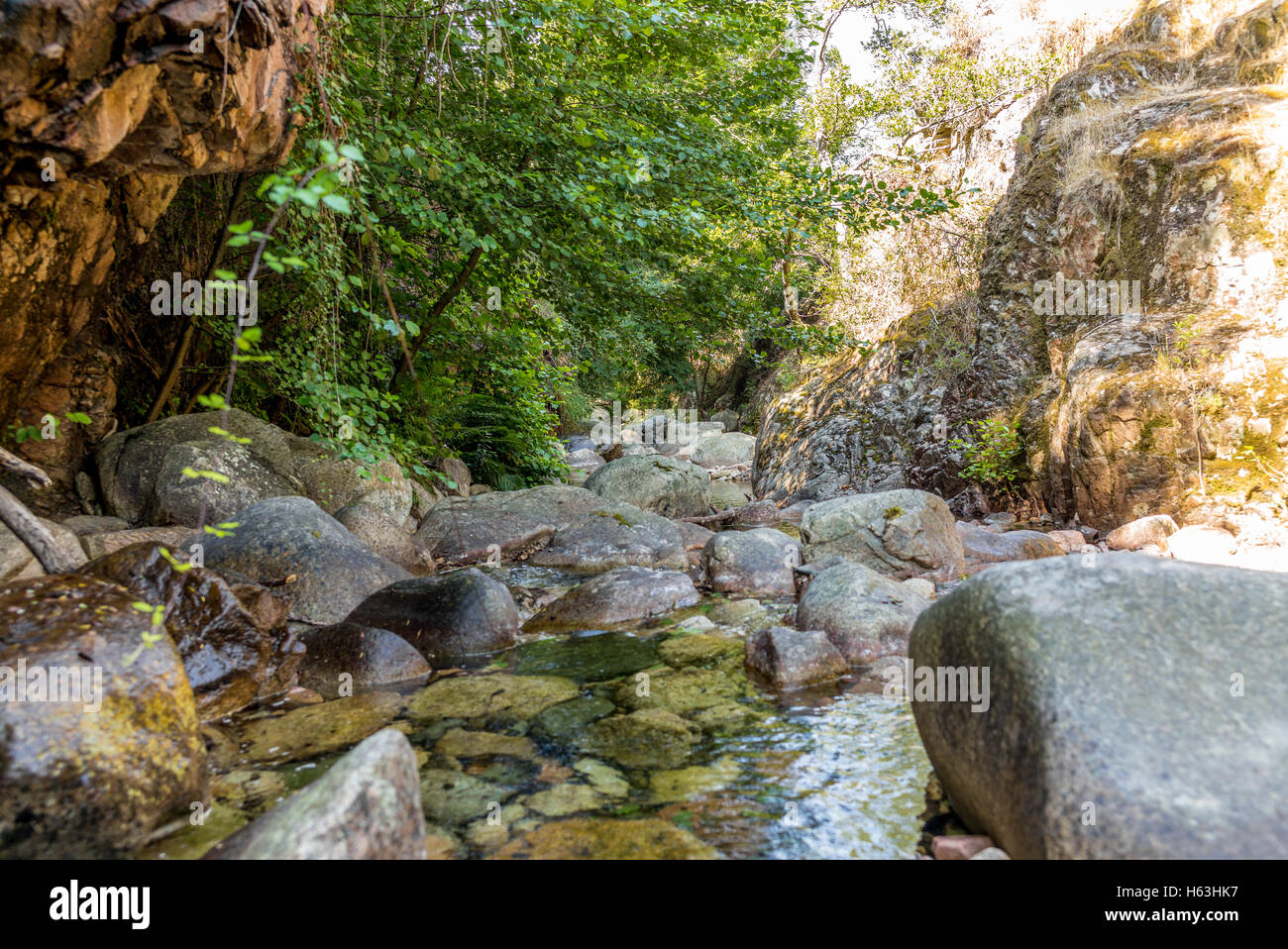 Inside a canyon in the mountains in Corsica - 1 Stock Photo - Alamy