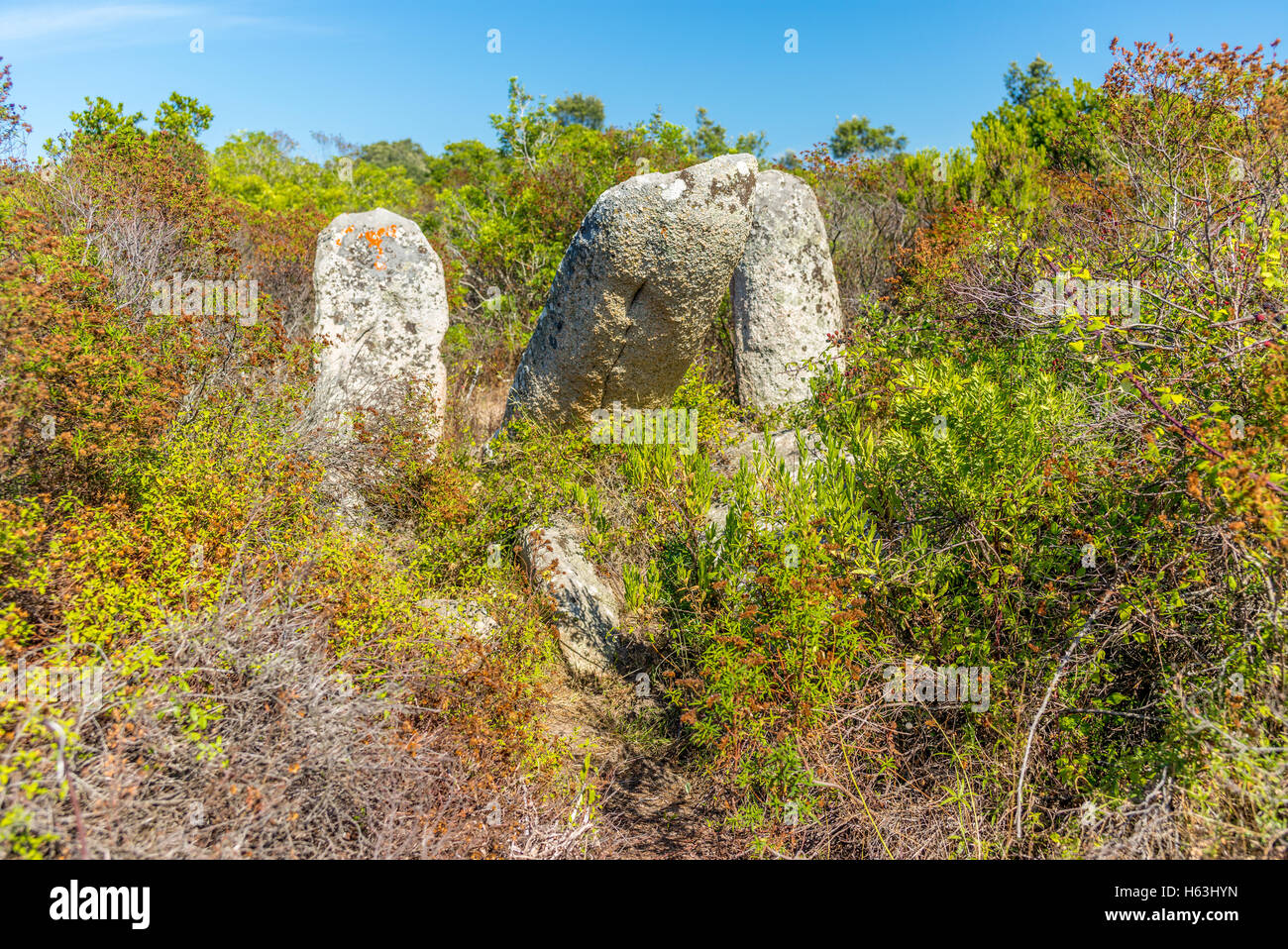 Forgotten and abandoned prehistoric site in the Corsica hills - 6 Stock ...