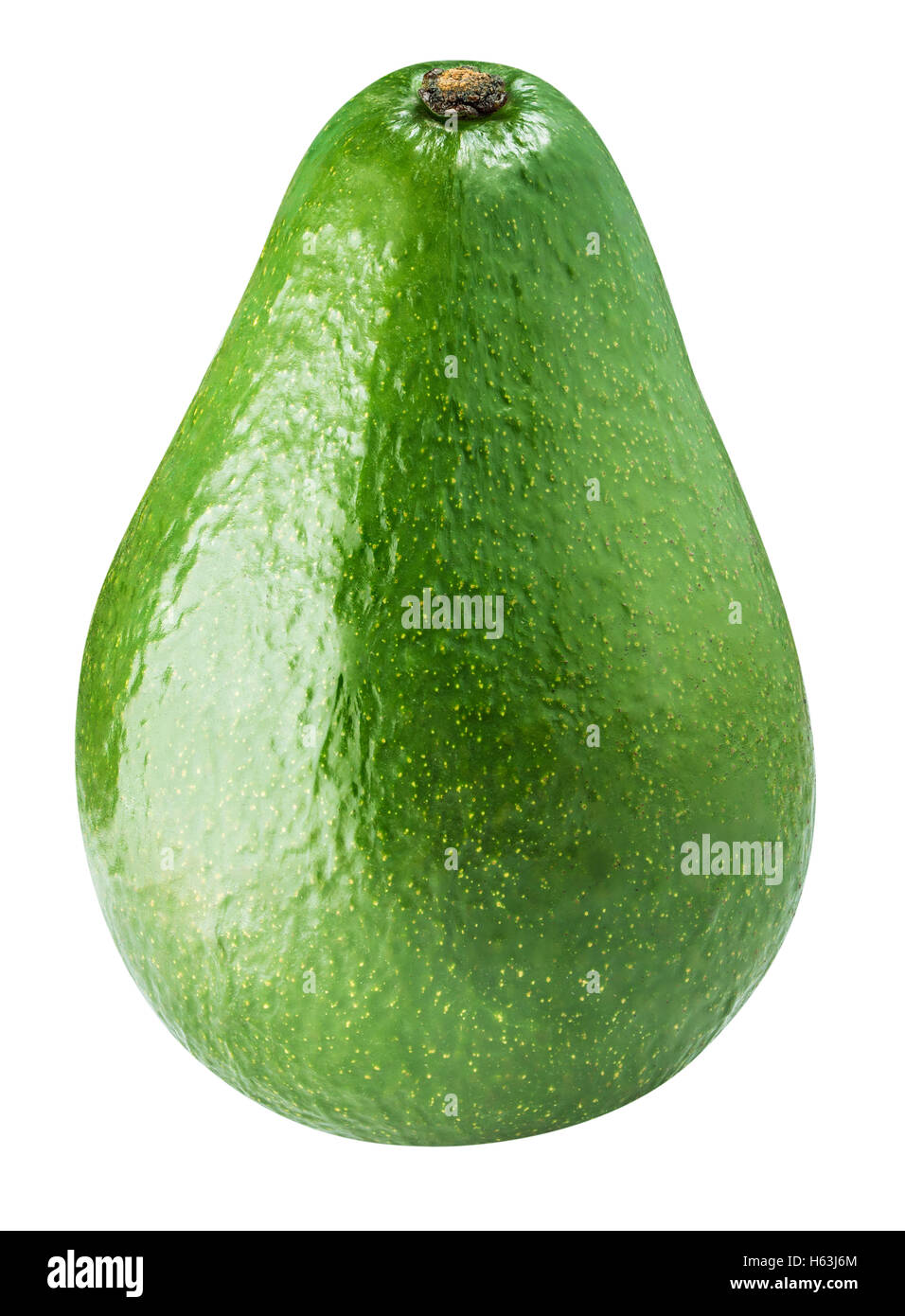 Green avocado isolated on white bsckground with clipping path Stock ...