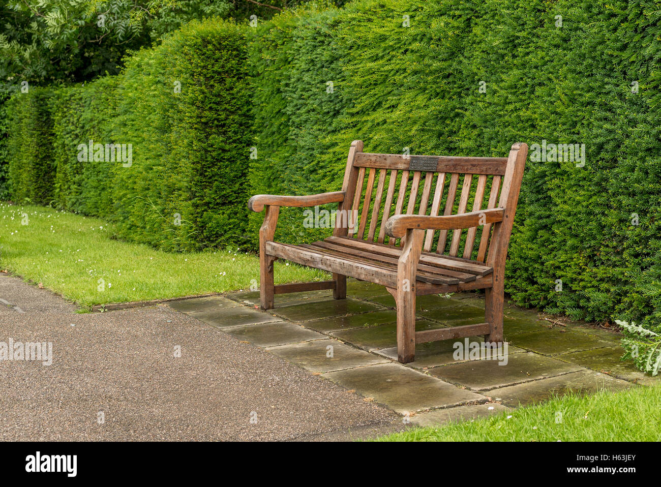 Lonely bench in a park in London Stock Photo - Alamy
