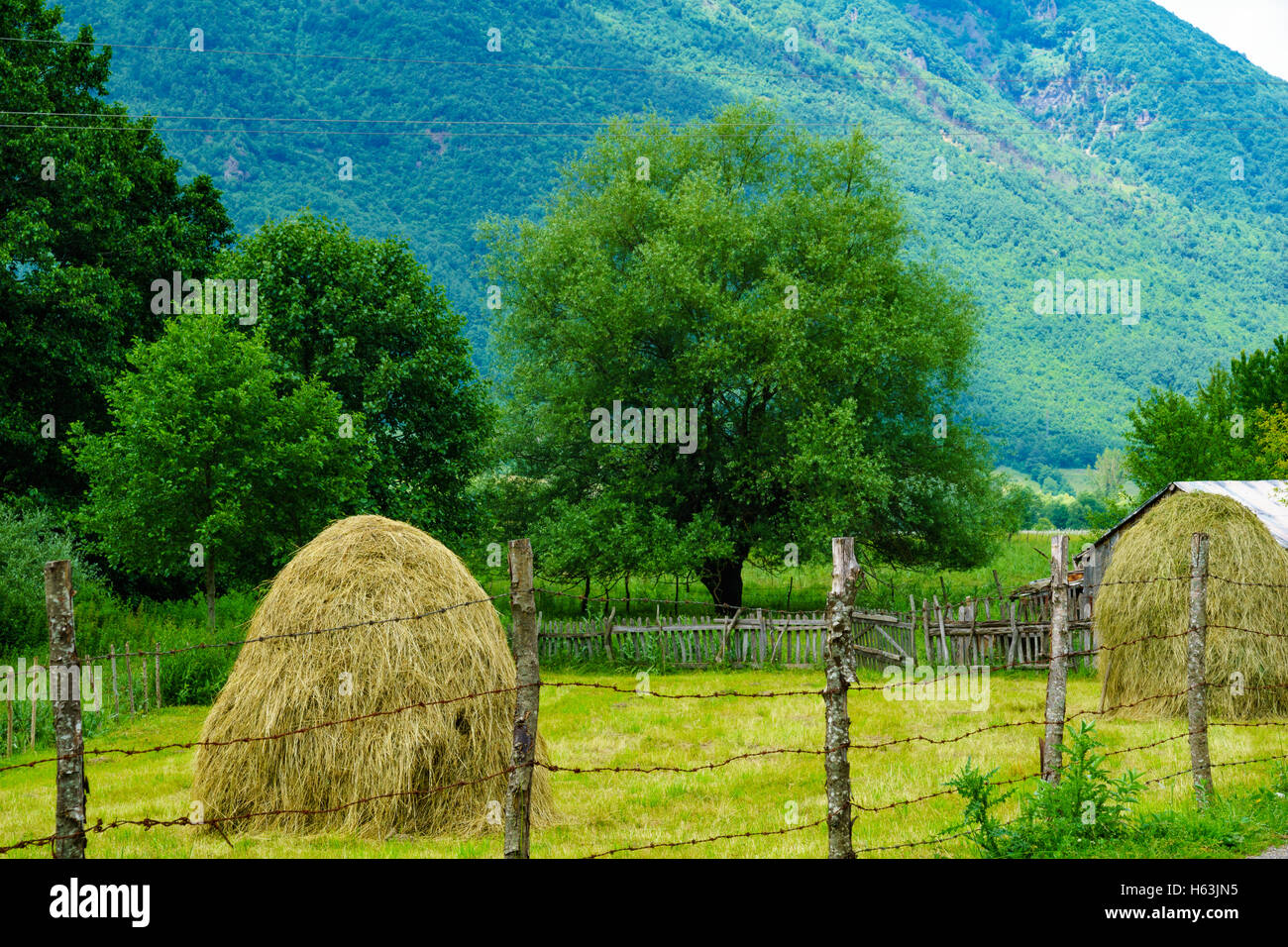 Countryside and haystacks in Plav area, southern Montenegro Stock Photo ...