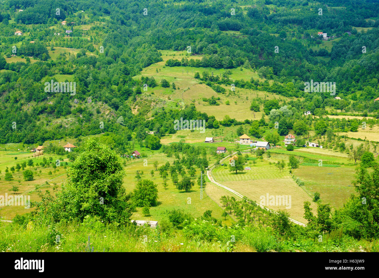 Countryside landscape near Lim River and Andrijevica, Montenegro Stock ...