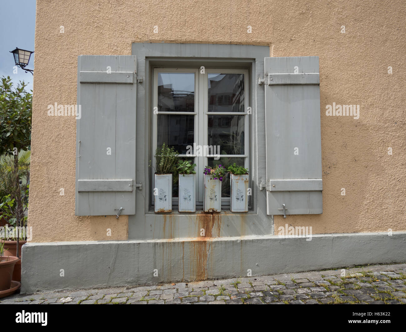 Window with weird plant pots Stock Photo - Alamy