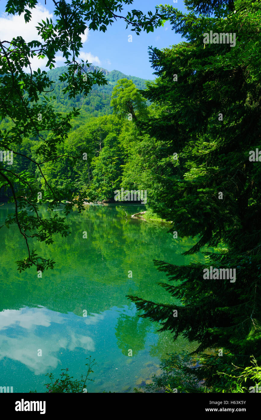 View of Lake Biograd (Biogradsko jezero), Biogradska Gora national park ...