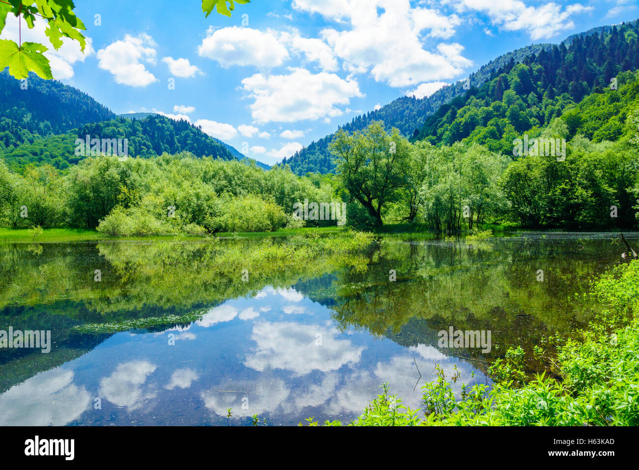View of Lake Biograd (Biogradsko jezero), Biogradska Gora national park ...