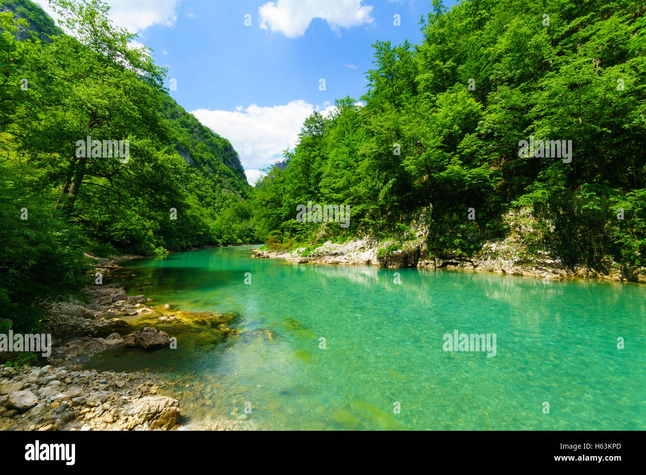 Tara river canyon hi-res stock photography and images - Alamy