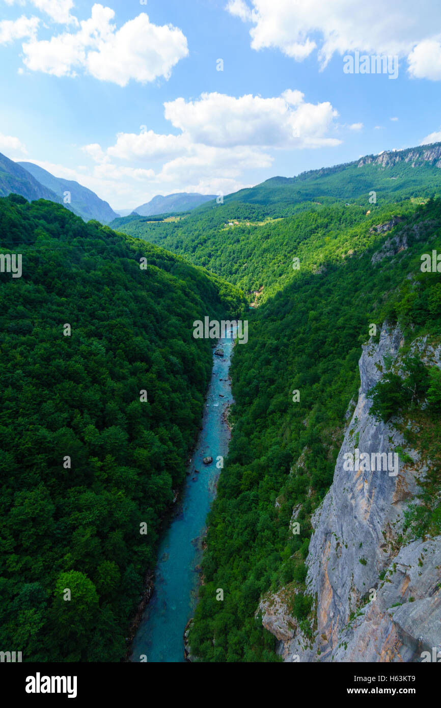 The Tara River and Canyon, northern Montenegro Stock Photo - Alamy
