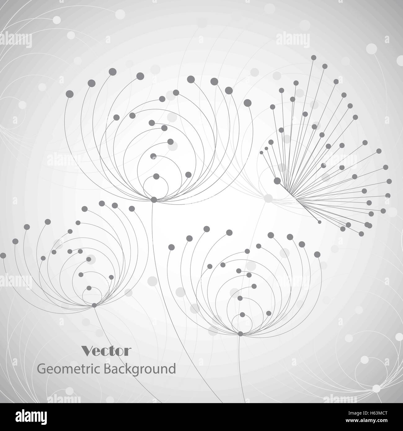 Insect with dots Black and White Stock Photos & Images - Alamy