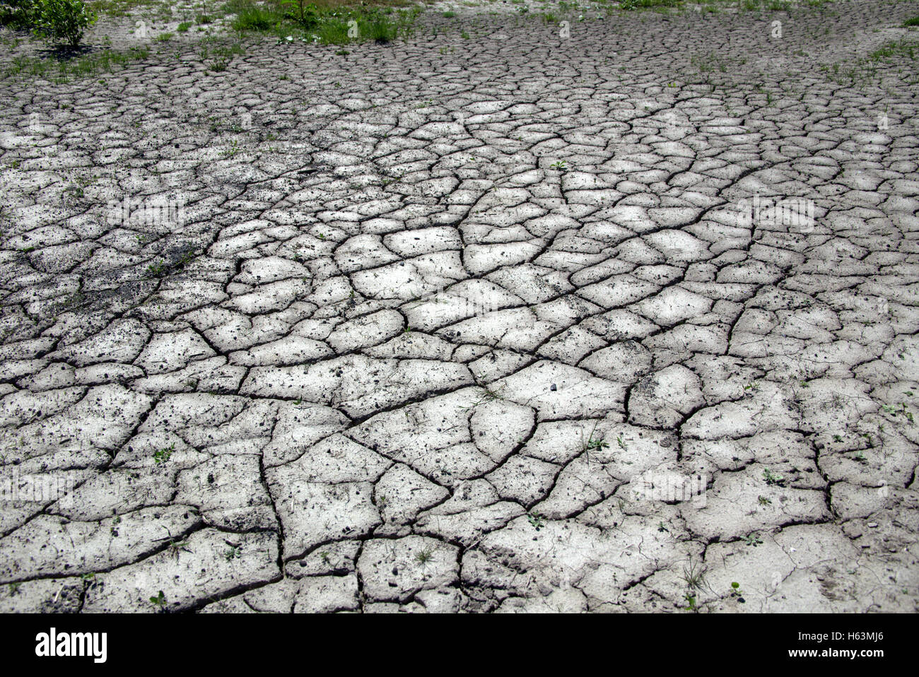 Black white texture cracked hi-res stock photography and images - Alamy