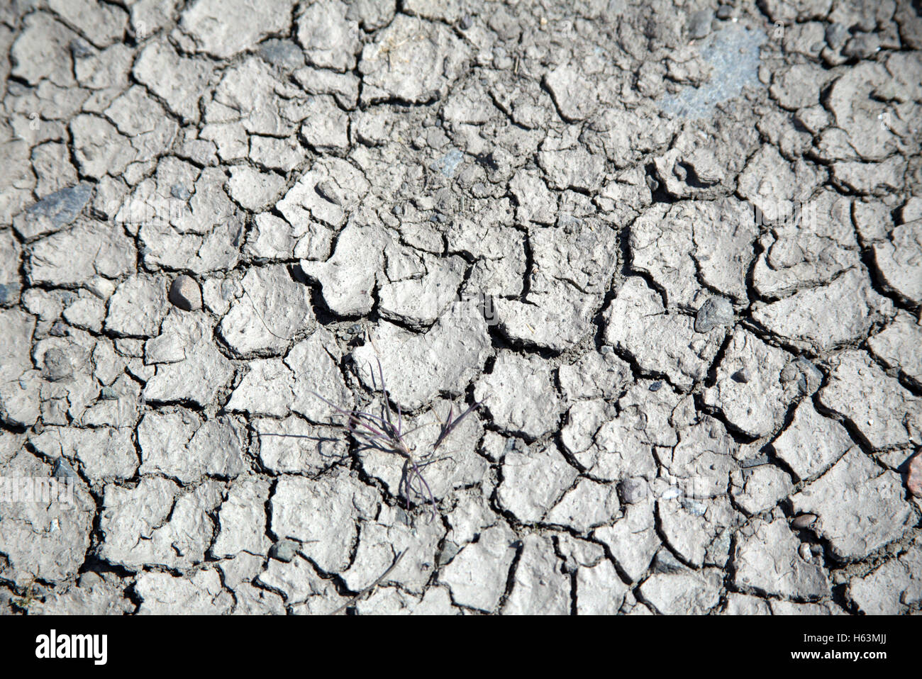 Black white texture cracked hi-res stock photography and images - Alamy