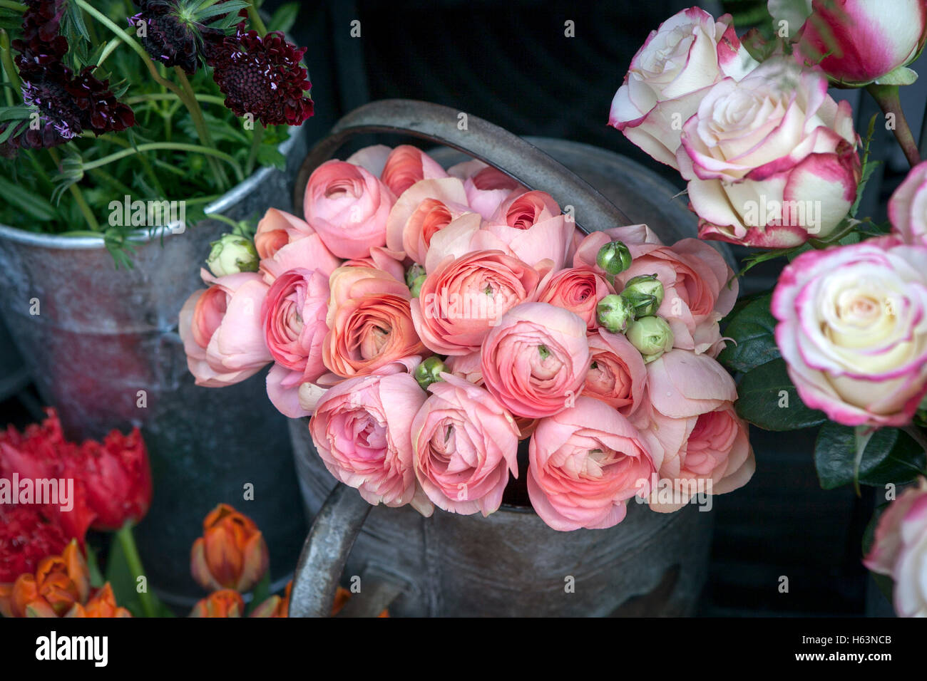Bouquet of pink ranunculus Stock Photo - Alamy