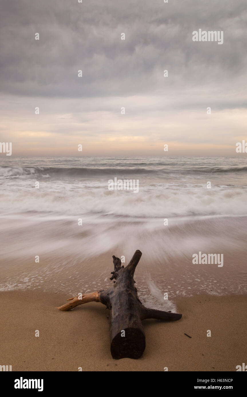 Trunk beach hi-res stock photography and images - Alamy