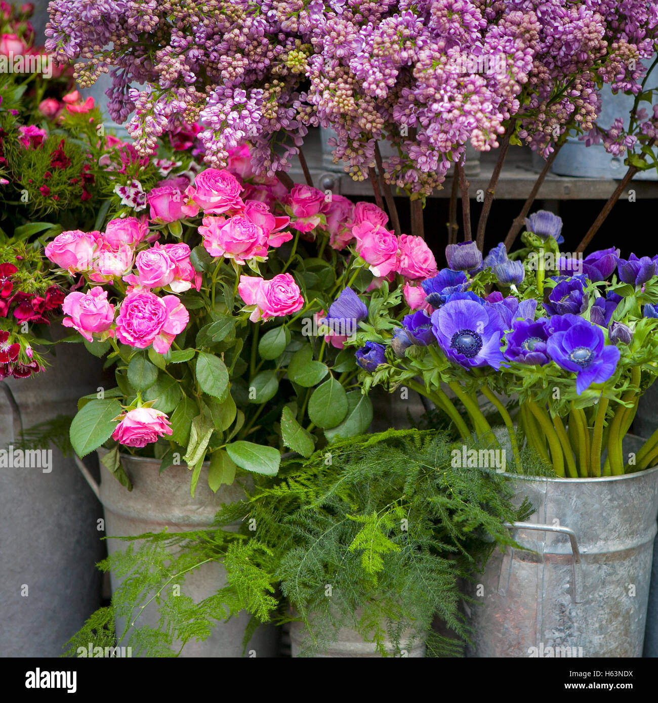 Red and blue spring flower arrangement: anemones, ranoncullus and Stock ...