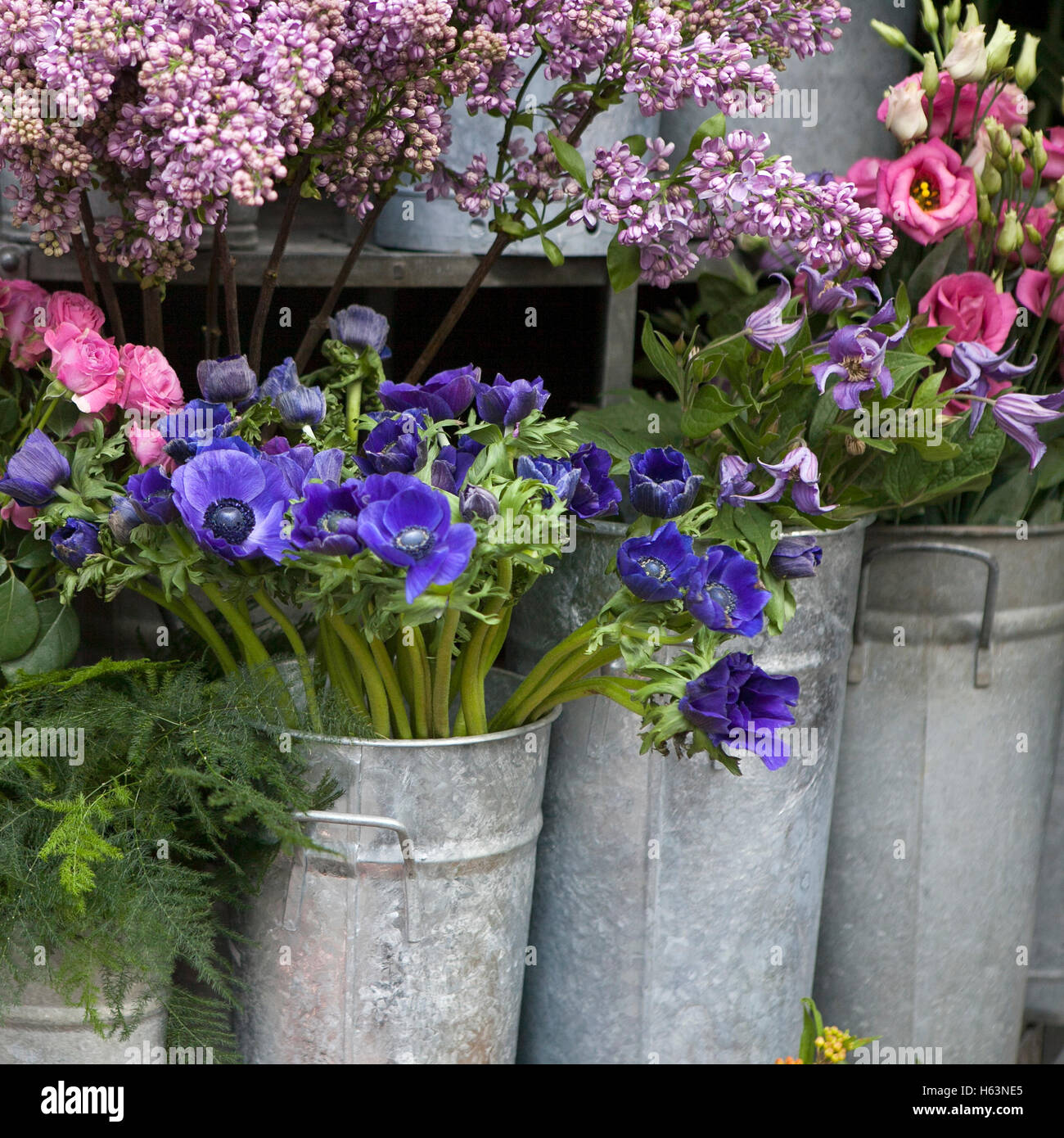 Red and blue spring flower arrangement: anemones, ranoncullus and Stock ...