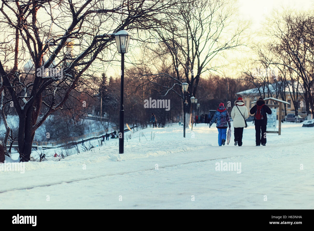 Winter street light tree Stock Photo - Alamy