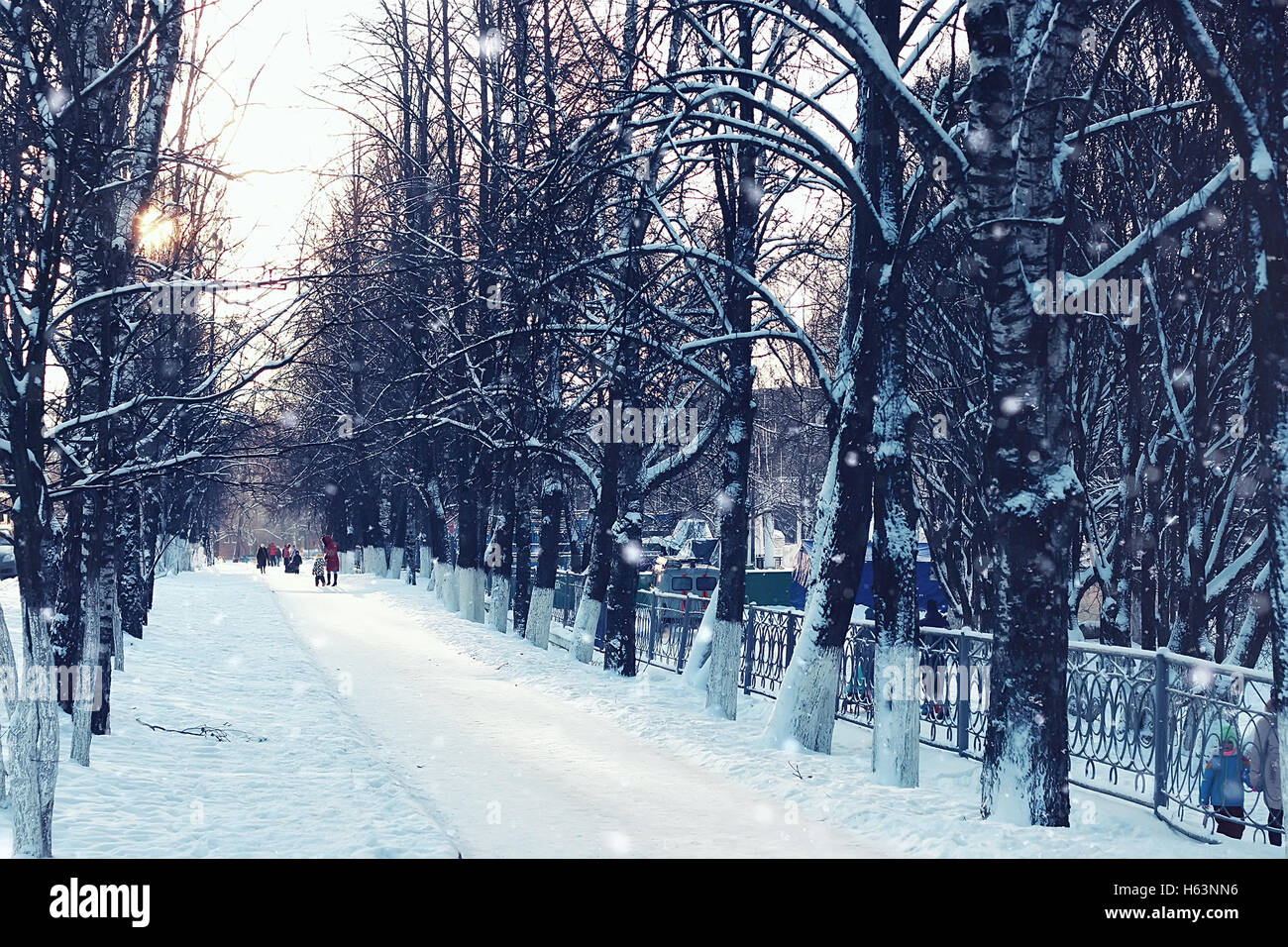 trees pathway winter Stock Photo - Alamy