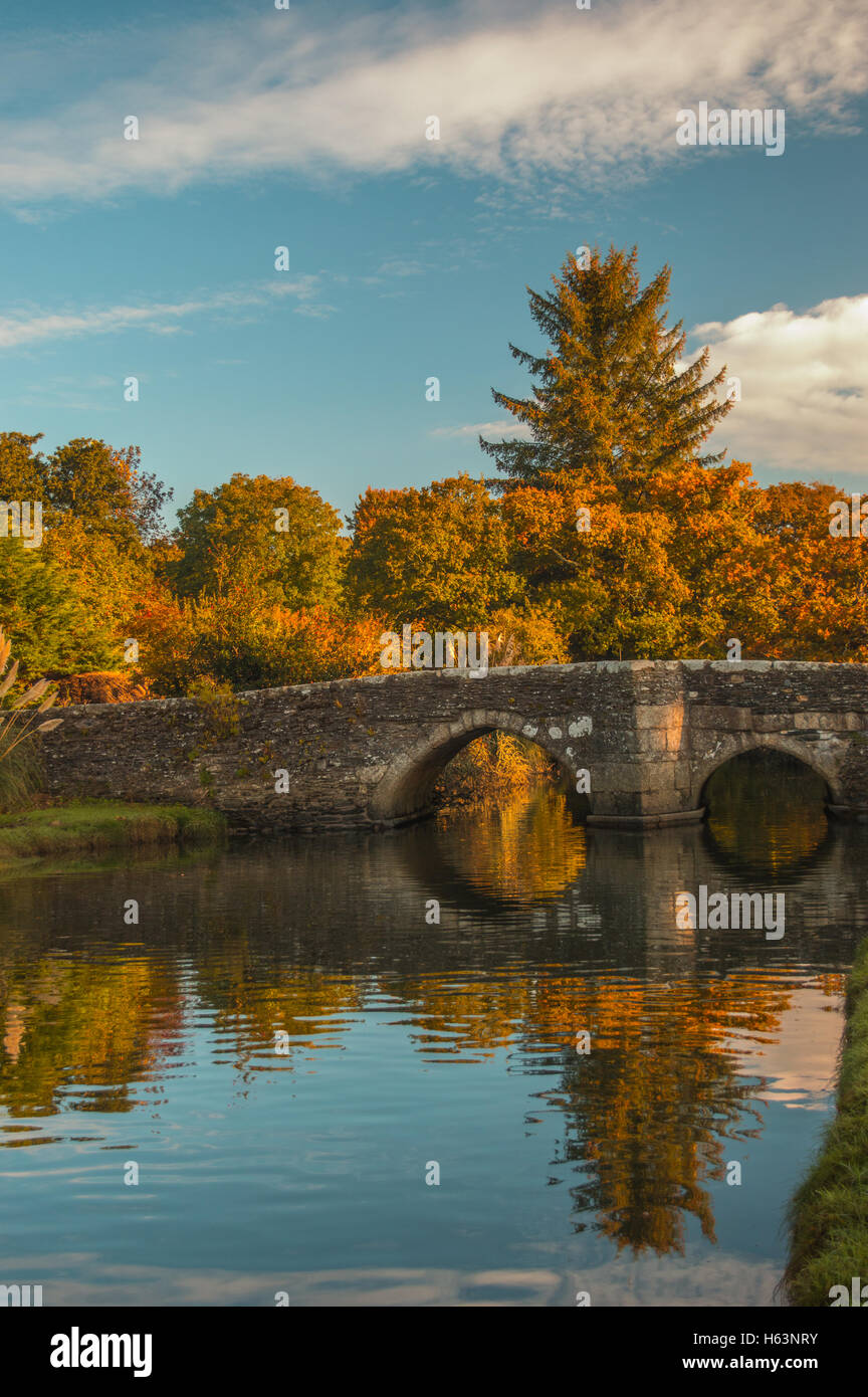 Lerryn cornwall hi-res stock photography and images - Alamy