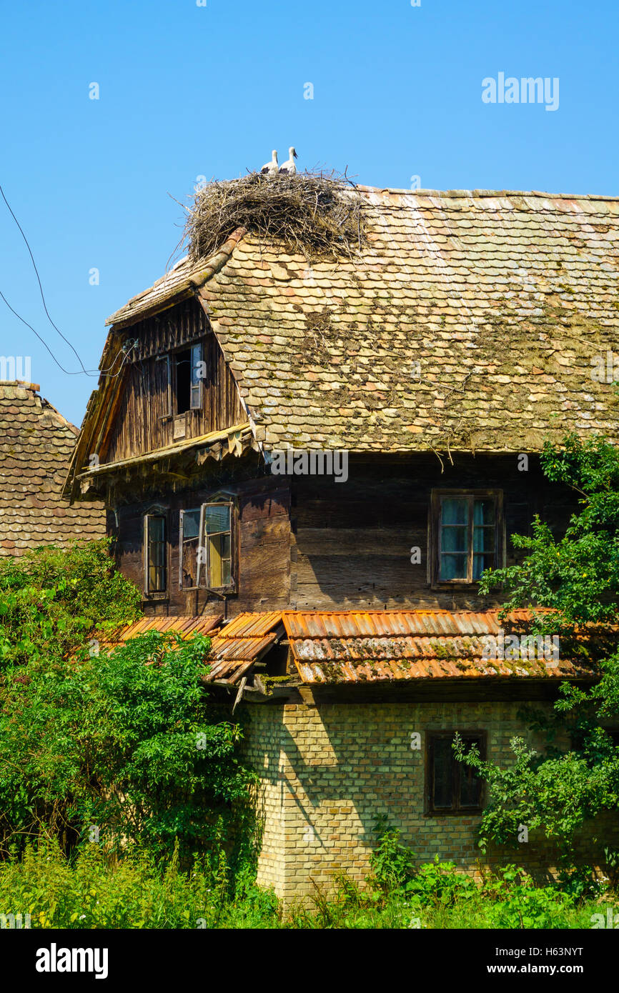 Typical wooden house, with Storks nesting on the roof, in the village ...