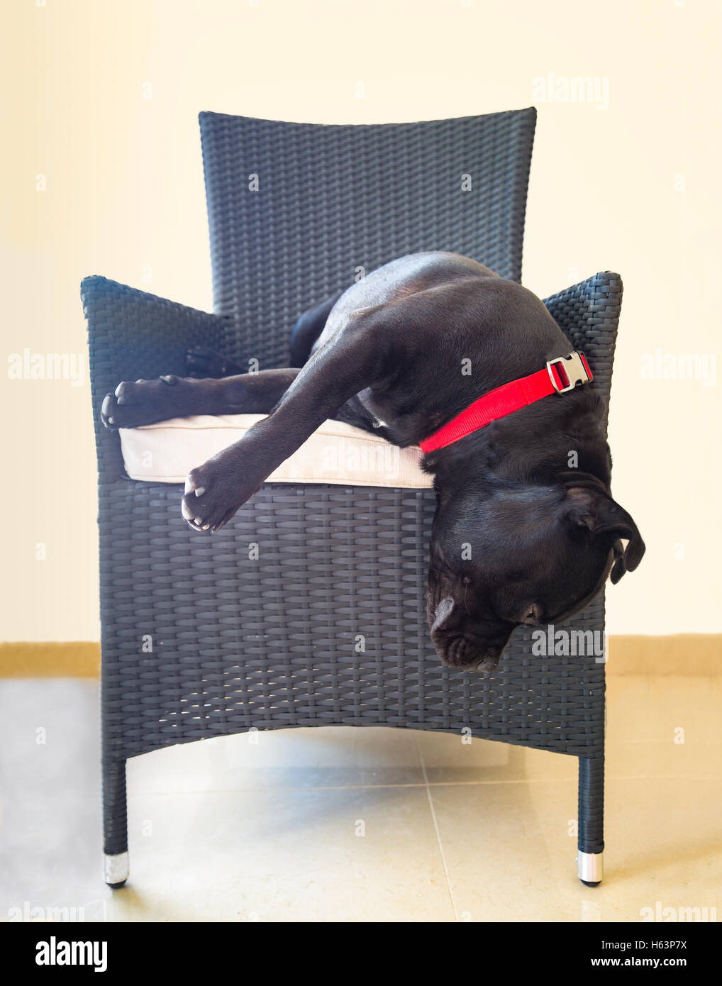 Precarious chair hi-res stock photography and images - Alamy