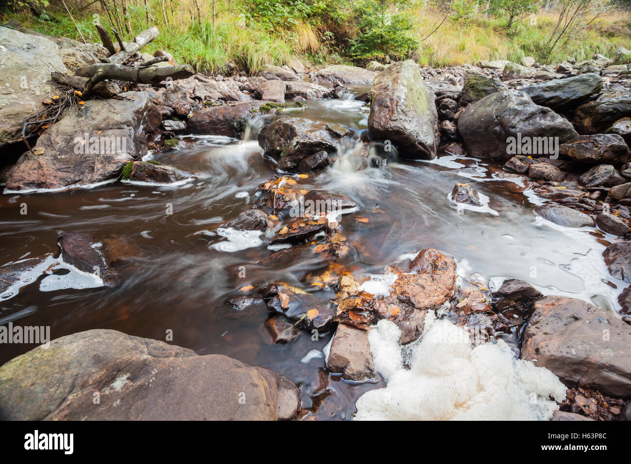 deep in the forest, there is river beside a large boulder Stock Photo ...