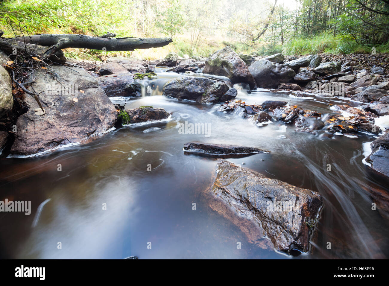 deep in the forest, there is river beside a large boulder Stock Photo ...