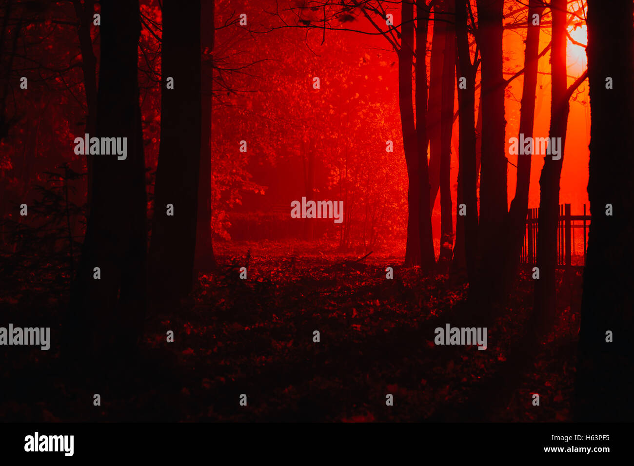 Scary wallpaper hi-res stock photography and images - Alamy