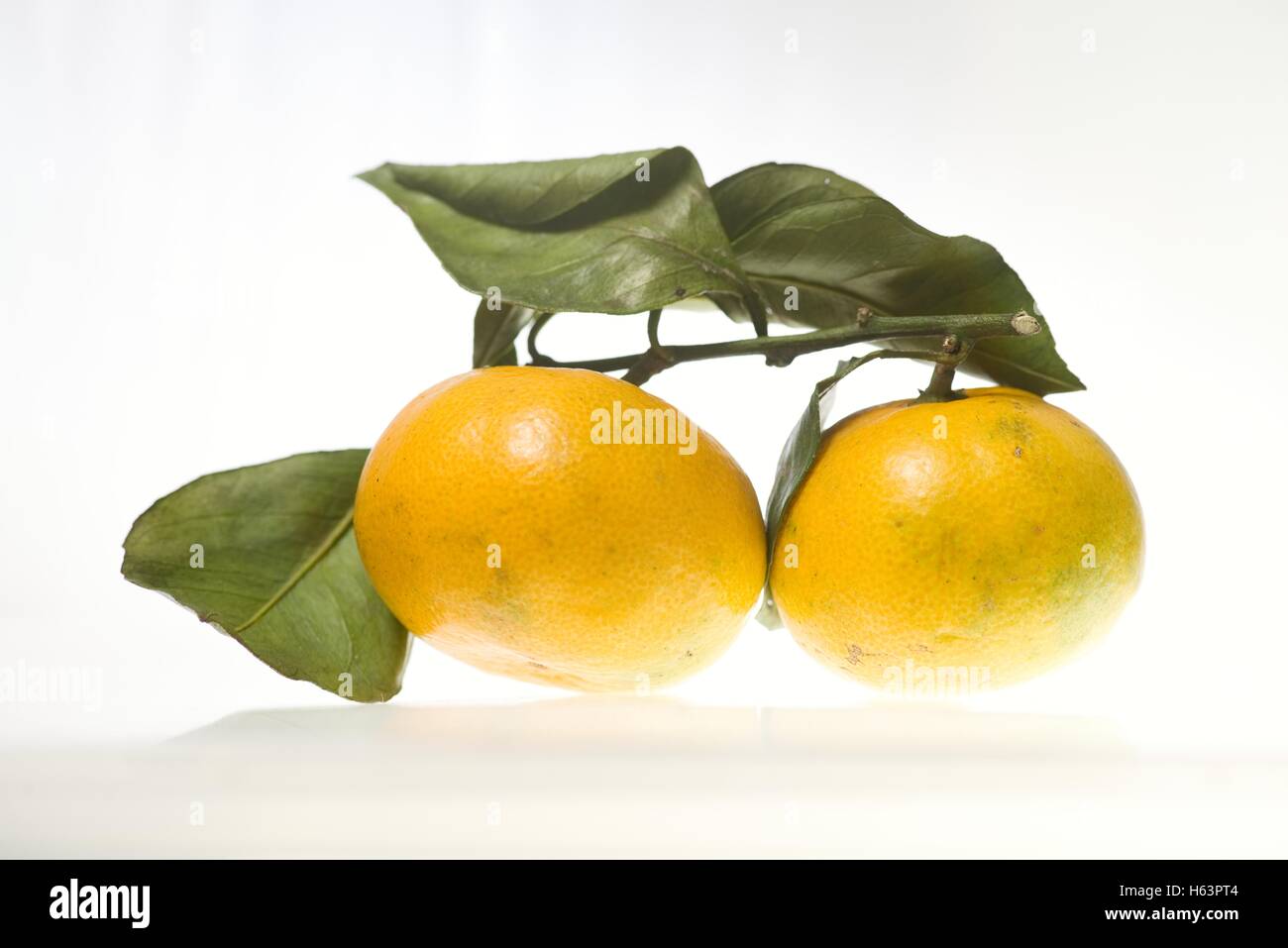 Two Mandarins with green leaves, tangerine citrus fruits isolated on ...