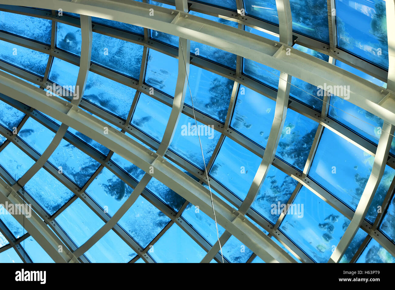 building glass construction roof Stock Photo - Alamy