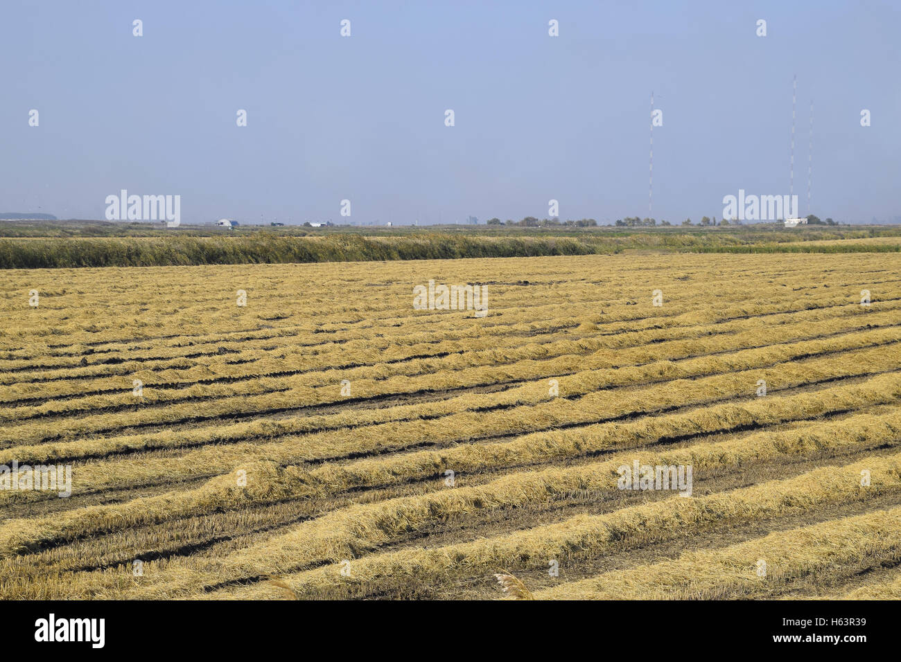 Cutting fields pattern hi-res stock photography and images - Alamy