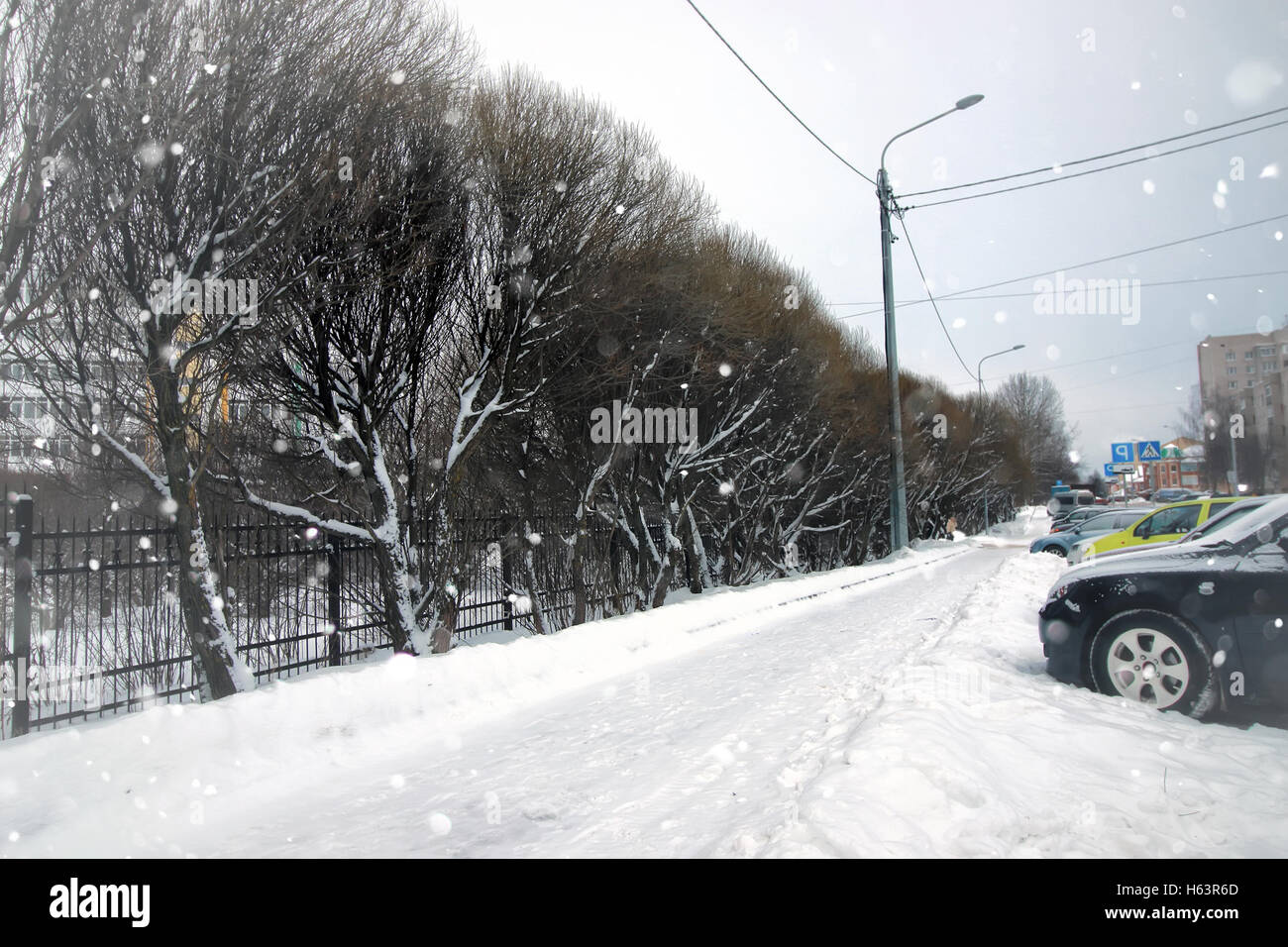 winter snow rustic road Stock Photo - Alamy