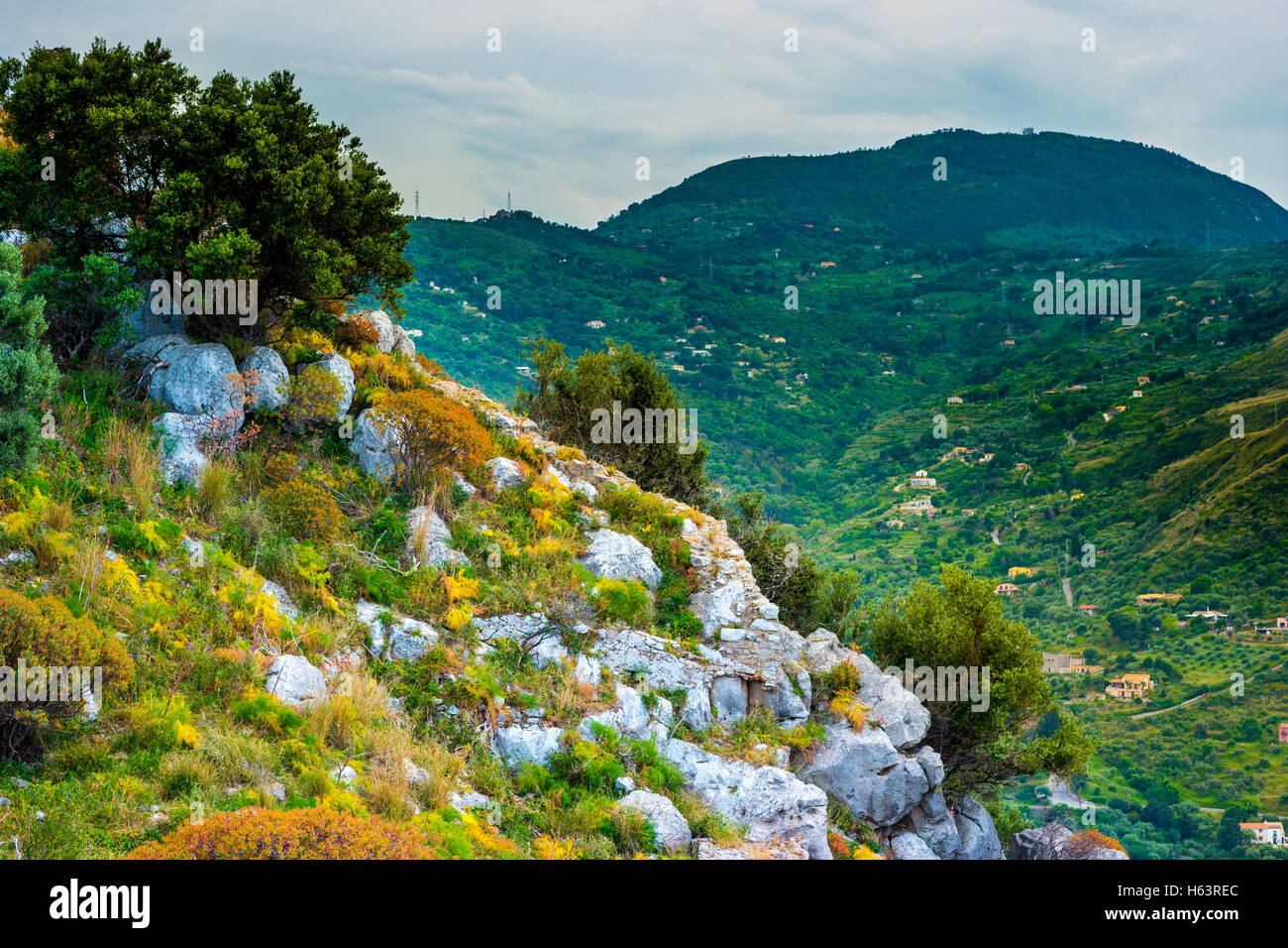Landscape with trees and stones Stock Photo - Alamy