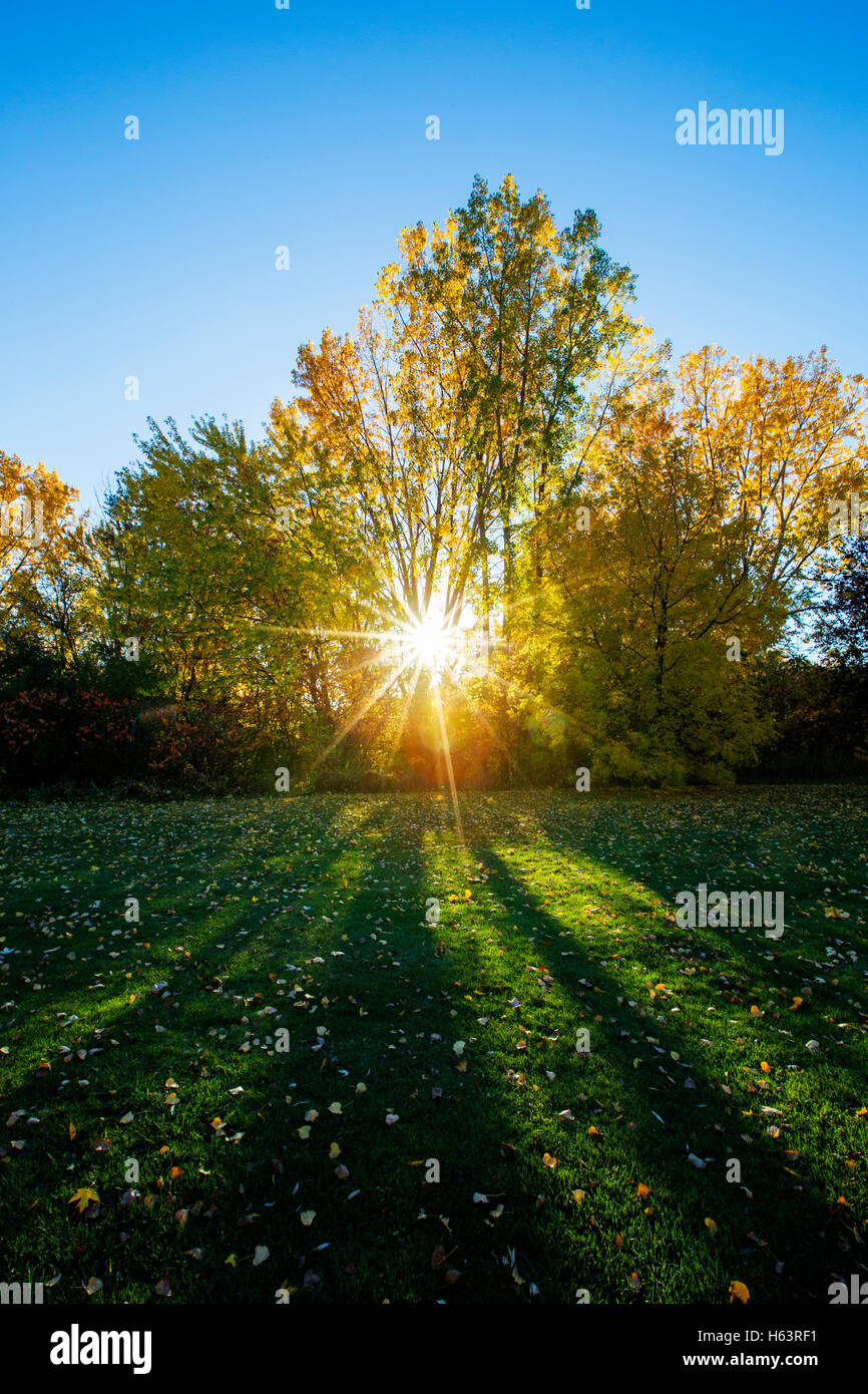 Spectacular autumn sunset behind colorful trees Stock Photo - Alamy