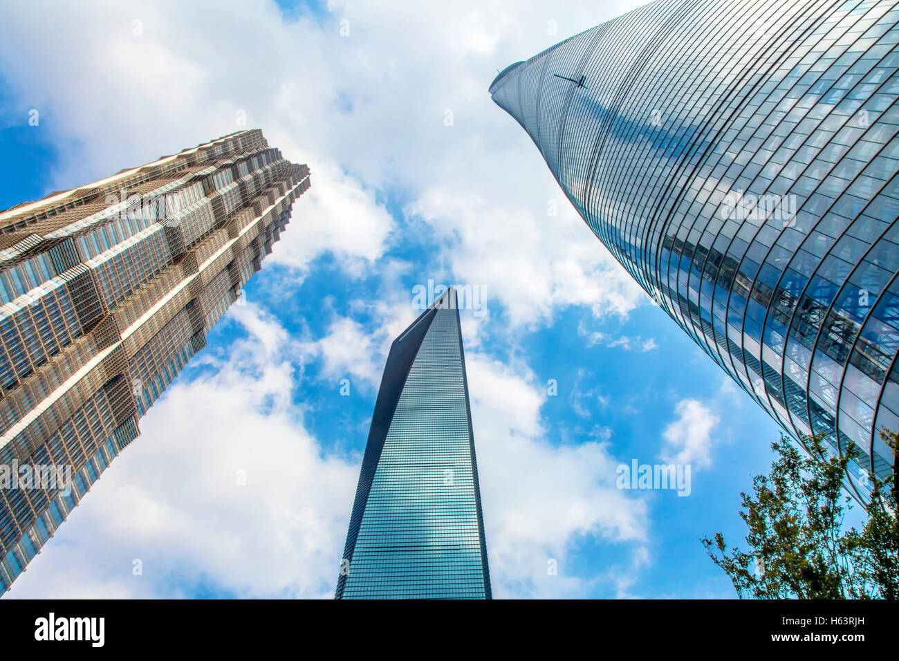 Three Skyscrapers Trees Reflections Make Patterns and Designs ...